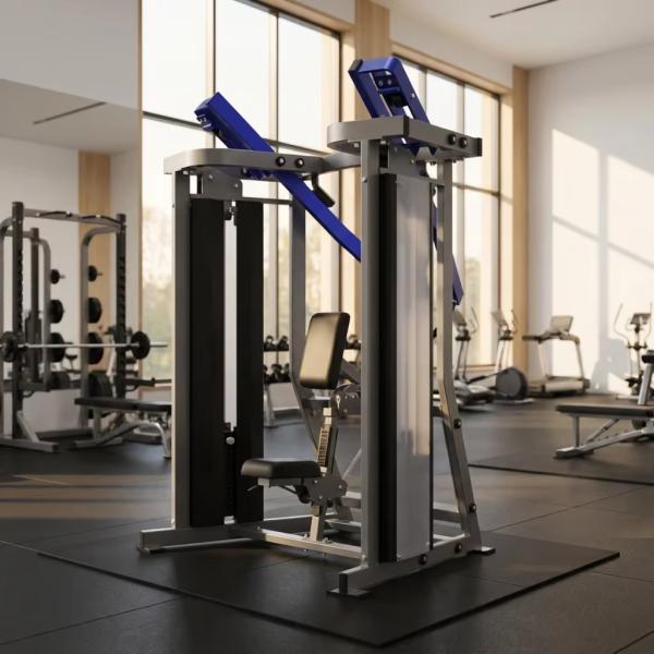 Quality Seated Back Extension Machine Commercial Selectorized Gym Equipment for Lower for sale
