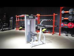 High Quality Pin Loaded Biceps Curl Machine for Arms Strength Training and Body Building