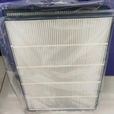 Cina 14689735 Sostituzione del filtro dell'aria a 3 mesi e video-ispezione in uscita in vendita