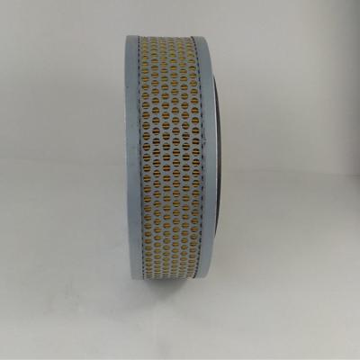Cina Compressore d'aria Filtro d'aria 6.4139.0 2 kg di componenti per il vostro cliente in vendita