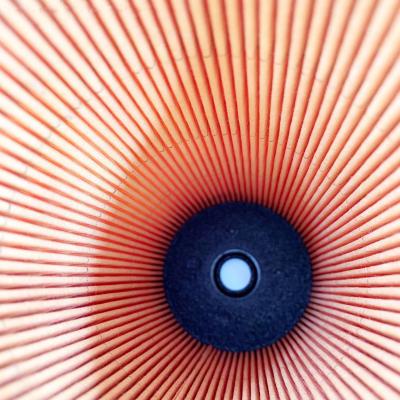 Cina Migliora il tuo sistema di filtrazione con E422H D86 filtro olio di rifornimento e 3 mesi in vendita
