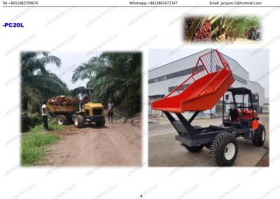 China Oil Palm Truck Palm Carrier Agricultural Loader Palm dumper Palm Tipper PC20 for sale
