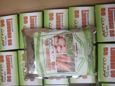 China Terbacil/Sinbar80%WP/Poland & Ukraine Market for sale