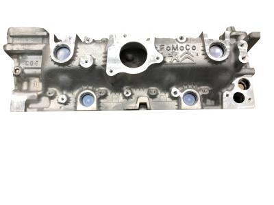 Cina Cilindro 908997 capo- AMC - 1609073180, 908997, 1864346 per FORD PEUGEOT CITROEN TOYOTA in vendita