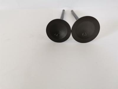 Cina Valvola del motore diesel 16v 4160A di Mitsubish Airtrek 2,4 con materiale d'acciaio in vendita
