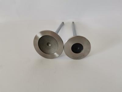 Cina Pezzi di ricambio diesel del motore della valvola di scarico dell'automobile del FUOCO 1.4L 8V EVO di FIAT 4257EC in vendita