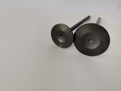 Cina CITROEN C3/PEUGEOT 208 accessori diesel del motore della valvola del motore 4211EX in vendita