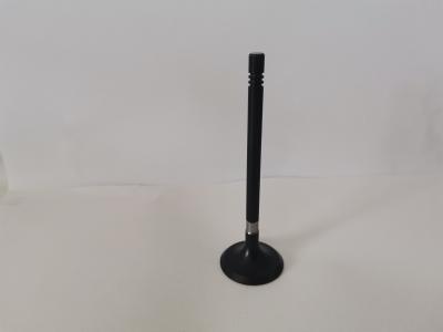 中国 54372010のディーゼル機関の取入口弁Vw Gol EA111 1.0 8つのVのRshのエンジン部分 販売のため