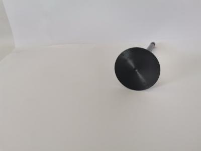 中国 54372010のディーゼル機関の取入口弁Vw Gol EA111 1.0 8つのVのRshのエンジン部分 販売のため