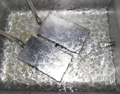 Cina Calo nel pulitore ultrasonico subacqueo 300w degli Skymen SUS316 in vendita