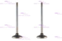 China D7E Engine Valve Set - 6 Cylinder Configuration with OEM Part Numbers 21896344 & 21739130 for sale