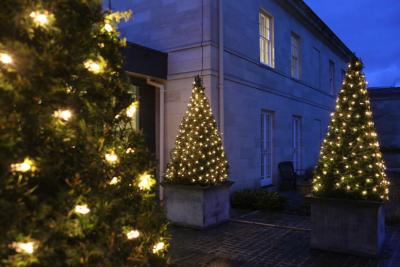 China 2mx3m 320led warm White LED christmas Net Light for outdoor tree decoration for sale
