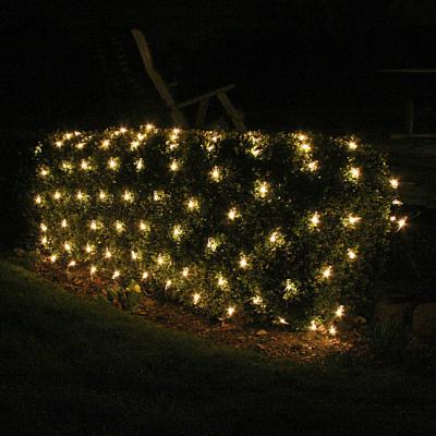 China 2mx2m 210led warm White LED Net Light for outdoor tree decoration for sale