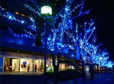 China 17m 100LED Blue Solar LED Fairy Light for sale
