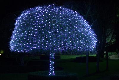 China 2mx3m 320led Blue LED christmas Net Light for garden bonsai decoration for sale