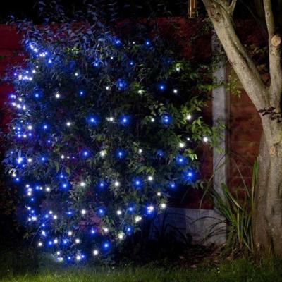 China 2mx3m 320led Blue white LED christmas Net Light for garden plants lightings for sale