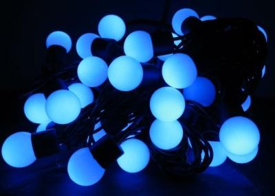 China 30Bulbs outdoor garden Blue Christmas LED bulb string light for sale
