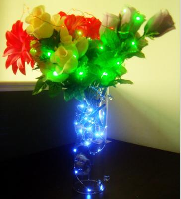 China 5m 50 bulbs low voltage 12V powered led string lights for sale