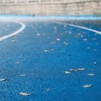 China EPDM Polyurethane Track Surface For Athletic Systems 9 - 13mm for sale