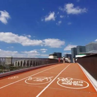 Cina Eco Friendly Rubber Prefabricated Roll Mat For Park Walkway 9mm in vendita