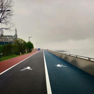 Cina 3mm Rubber Walking Path  Colured Eco-friendly Granules EPDM Runway in vendita