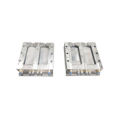 Cina 2cavity Custom Blow Mold PE Materiale 1L Volume Plastic Blow Mold in vendita
