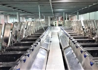 Cina Macchina corrente dell'estrazione dell'etanolo di alta efficienza contro per l'olio di Cbd in vendita