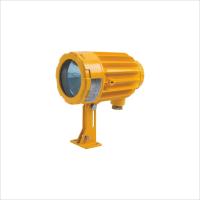 Quality BAK51 Series Tank Inspection Vessel LED Light Fittings Explosion Proof IP66 35W for sale