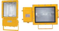 Quality HRT53 Explosion Proof Floodlights Hazardous Location Led Lights Waterproof for sale
