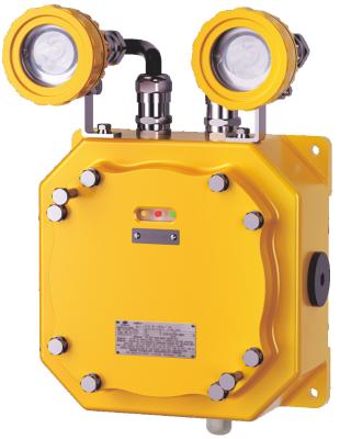 China BAJ52-6 Series Explosion-proof Emergency Light Fittings for sale