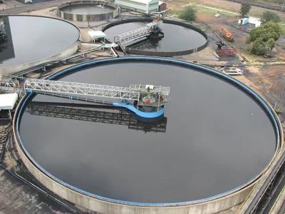 Cina Macchina minerale 1/5r/Min Ac Motor degli addensatori della parte incastrata di un mattone in aggetto del minerale metallifero di estrazione dell'oro in vendita
