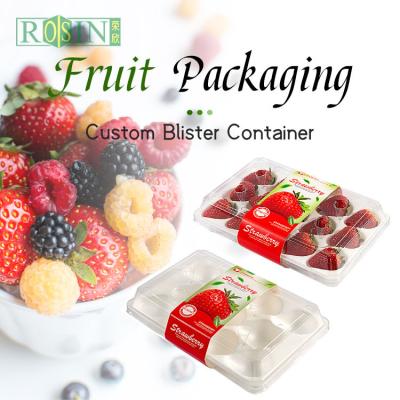 China Recipientes de salada de frutas descartáveis de morango PET transparente com bandeja interna à venda