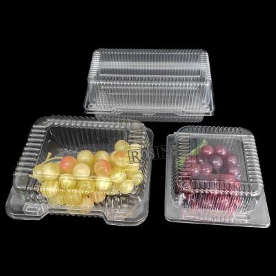 China Plastic Hinged Fruit Clamshell Packaging Thermoformed PET Customizable for sale