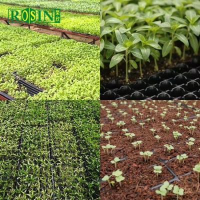 Cina Confezionato in PVC in plastica nero in plastica 288 buchi per le sementi di piantagioni agricole in vendita