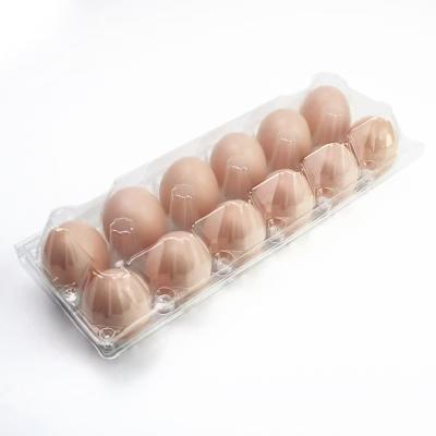 Cina 12 fori Trasparente Plastica vassoio di uova di quaglia con cerniera Conchiglia personalizzabile in vendita
