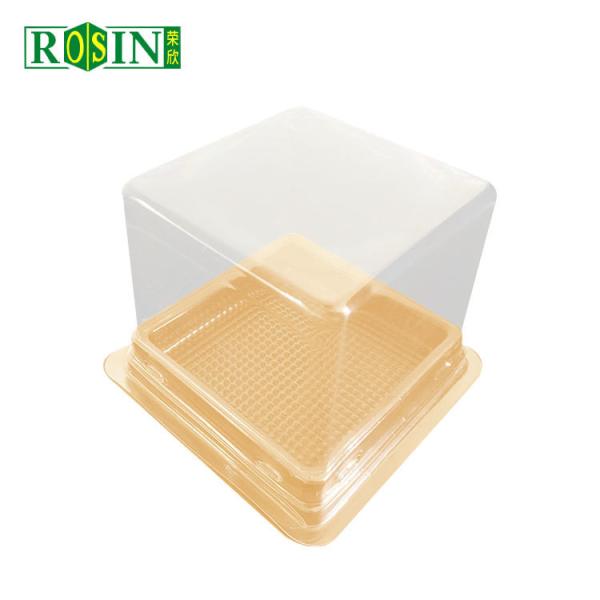 Quality Square Single Plastic Hinged Cupcake Containers Disposable Food Grade for sale