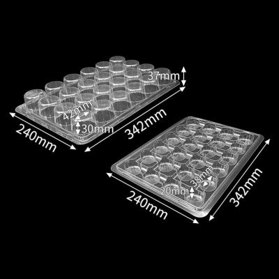 Cina Imballaggio di plastica personalizzato Blister 24 Count Cupcake Container in vendita