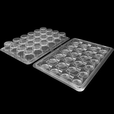 Cina Imballaggio di plastica personalizzato Blister 24 Count Cupcake Container in vendita