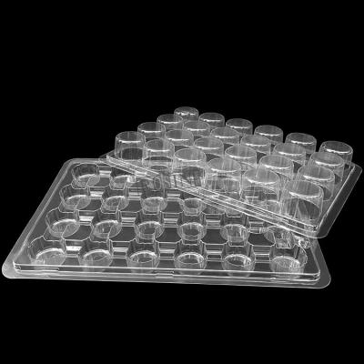 Cina Imballaggio di plastica personalizzato Blister 24 Count Cupcake Container in vendita