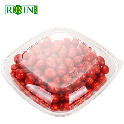 Cina Cibo portatile di grado 64 oz ciotole di insalate di plastica trasparente personalizzate con coperchio in vendita