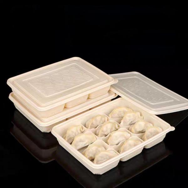 Quality Customized Disposable Dumpling Corn Starch Frozen 12 15 Cell Dumpling Packaging Box for sale