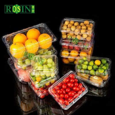 중국 소매 열형식 클램 셸 플라스틱 과일 애완용 딸기 토마토 펀넷 선명 일회용 과일 채소 샐러드 용기 구멍이 없습니다 판매용