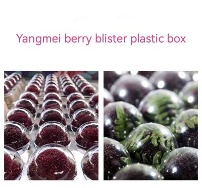 China Custom Blister Transparent 54 Cavity Pet Berry Fruit Clamshell Box Disposable Yangmei Fruit Clear Plastic Container Packing Box for sale