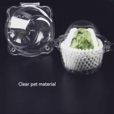 Cina Imballaggio a guscio trasparente singolo a griglia Shakya con bolle di frutta con conchiglie con mini cavità PET con confezione in plastica trasparente per frutti di drago in vendita