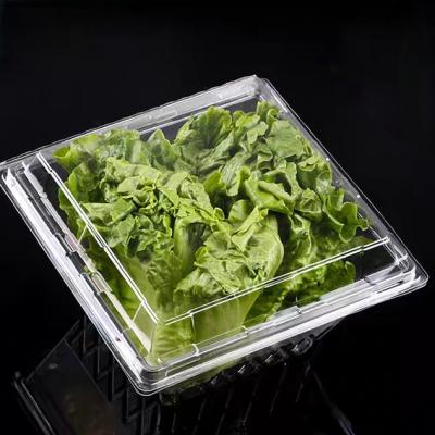 Cina Imballaggio a forma quadrata anti nebbia PET trasparente chiusura vegetale scatola fresca blister usa e getta conchiglie di erbe imballaggio di lattuga imballaggio di plastica in vendita
