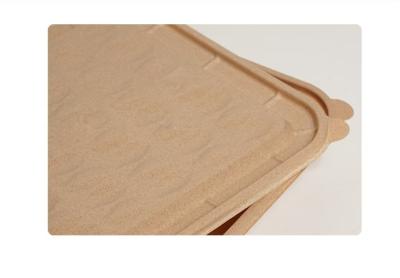 中国 工場直送 100% 生分解性 2 コンパートメント 米もみ殻 ランチコンテナ 蓋付き 販売のため