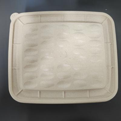 China Customizable 3 Division Disposable Compostable To-Go Container Hinged Take Away Food Container Rice Husk Disposable Lunch Box for sale