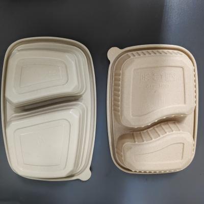 Cina 800 ml Scartatore di polpa di polpa di fibra di riso a portata di mano Contenitore alimentare multicamera ecologico con coperchio in vendita