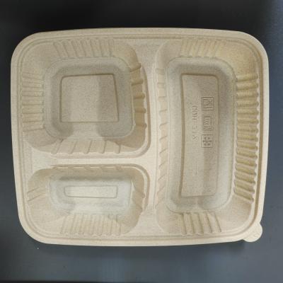 China Customizable 3 Division Disposable Compostable To-Go Container Hinged Take Away Food Container Rice Husk Disposable Lunch Box for sale