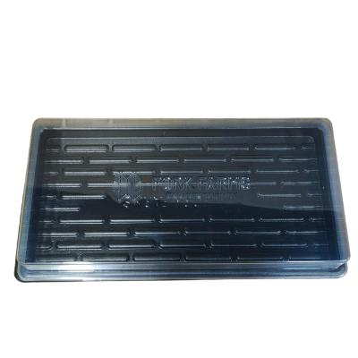 China Customized reusable plastic PS black plastic greenhouse hydroponic plant planting seed water storage box for sale